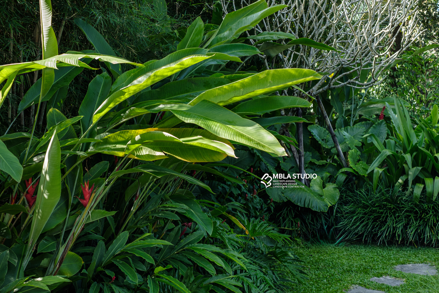 MBLA Studio - Bali Landscape Architect | Design & Build